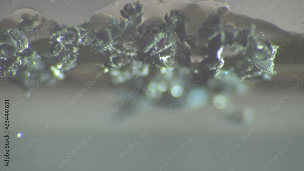 Microparticles of plastic in aquatic environment. Macro shooting of ...