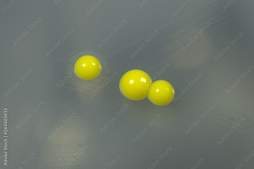 Colonies of Micrococcus luteus bacteria on Petri dish with nutrient ...
