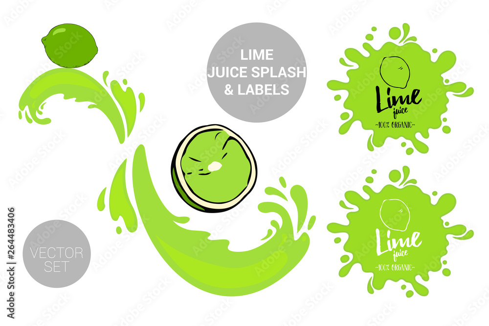 Fruit vector package set of cartoon green lime on juice splashes ...