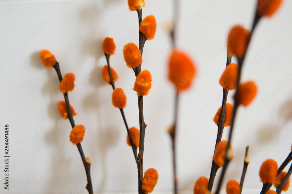 The branches of the Veras are painted in orange color on the background ...