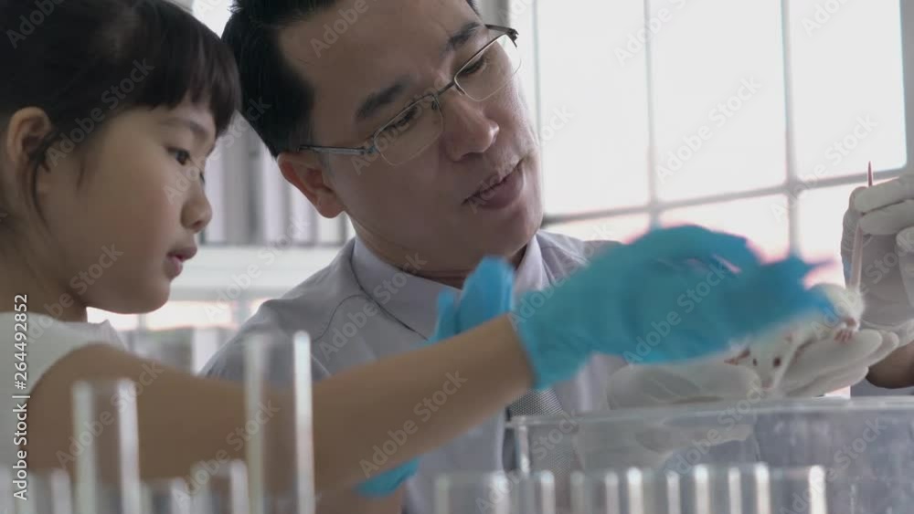 Scientist observing behavior experiment animals with little girl in lab ...