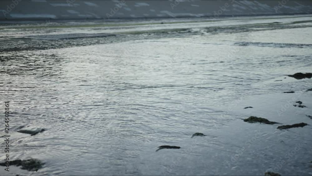 Los Angeles River water flow, combination of city and nature ...