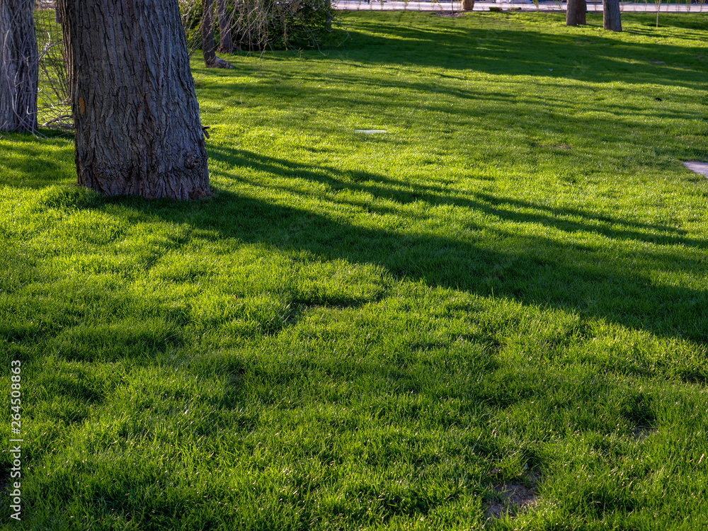Rolls of green lawn for landscaping park areas..Natural grass stacks of ...
