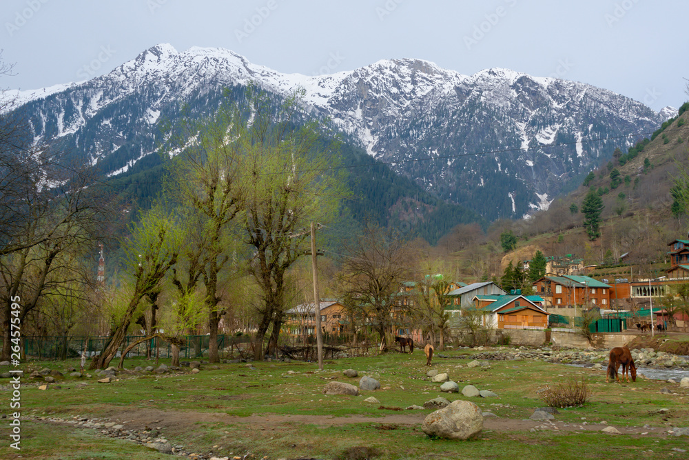 Beautiful landscape of the natural Liddar river stream from the ...