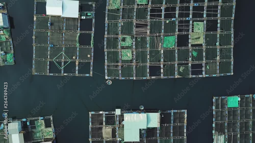 Aerial accent climb Fish farming production cultivation squid pearls ...