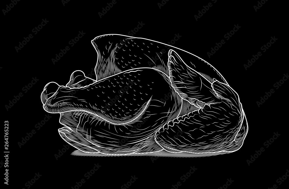 Whole chicken drawing illustration. Side view. Raw fresh meat. Isolated ...