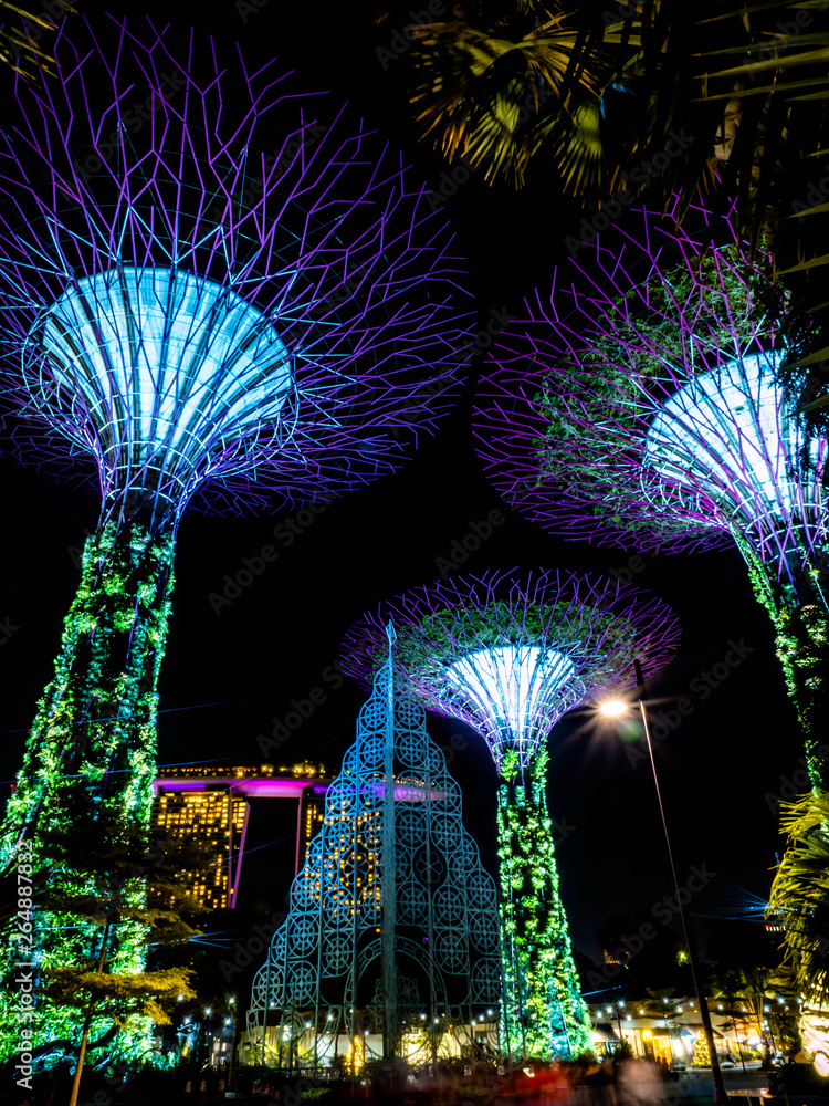 Gardens by the Bay, Singapore - Nov 26, 2018: Night view of Supertree ...