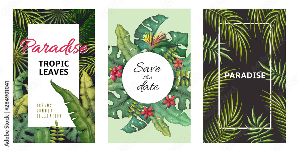 Tropical leaves posters. Jungle plants summer flyers, banana palm leaf ...