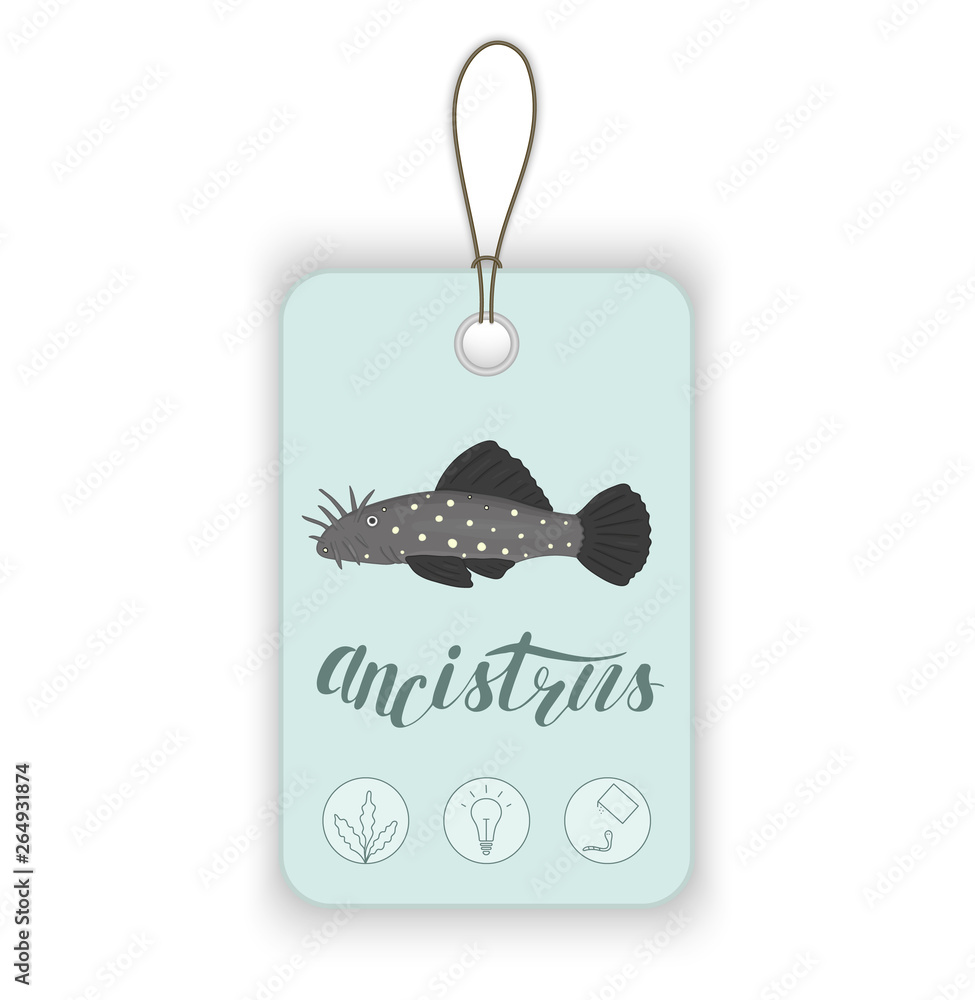 Vector price tag with aquarium fish and lettering. Illustration for pet ...