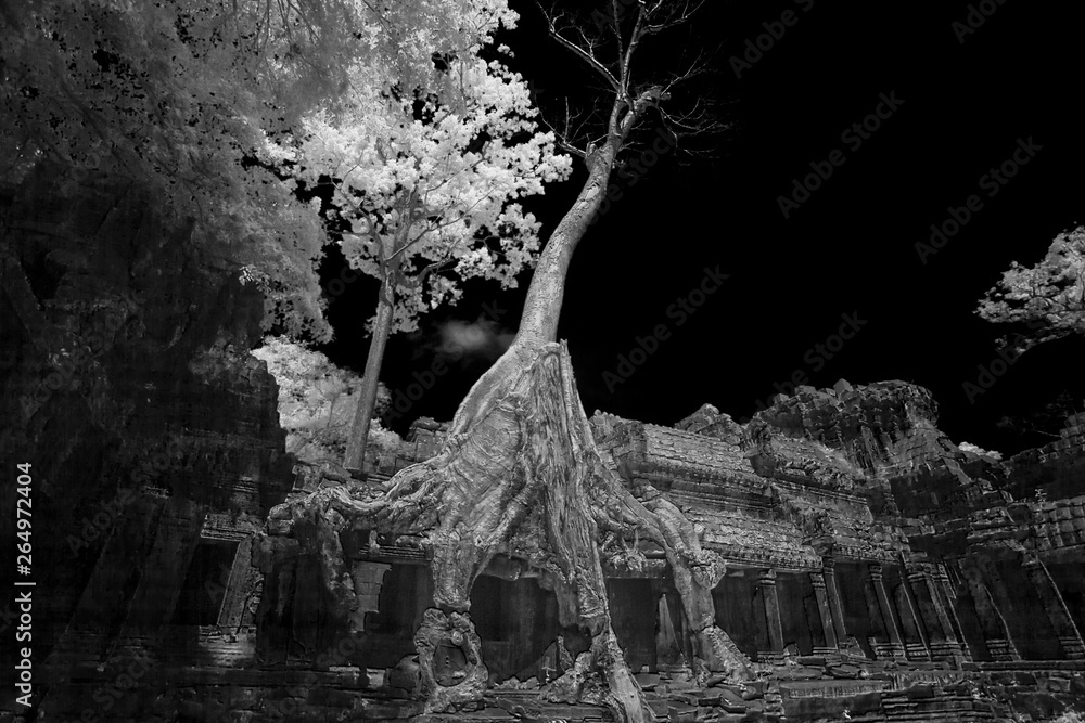 Ruins of Bakong Temple in Cambodia in black and white infrared Stock ...