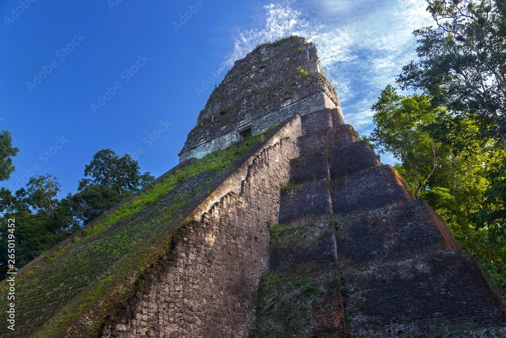 Side View of Ancient Mayan Pyramid Ruins, known as Tikal Temple 5 (Temple Five), in World Famous ...