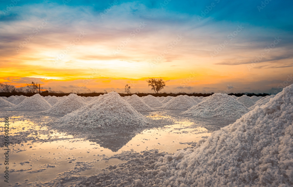 Salt farm in the morning with sunrise sky. Organic sea salt ...