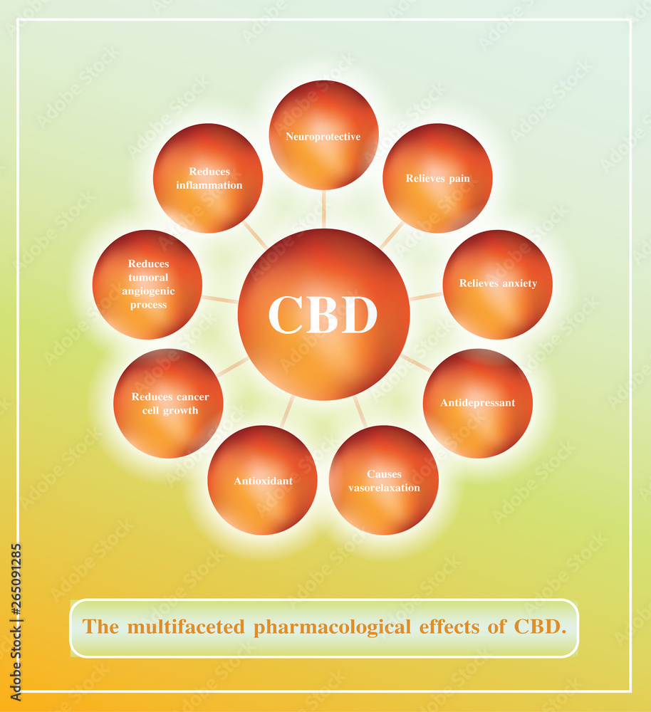 the multifaceted pharmacological effects of bcd,vector infographic on ...
