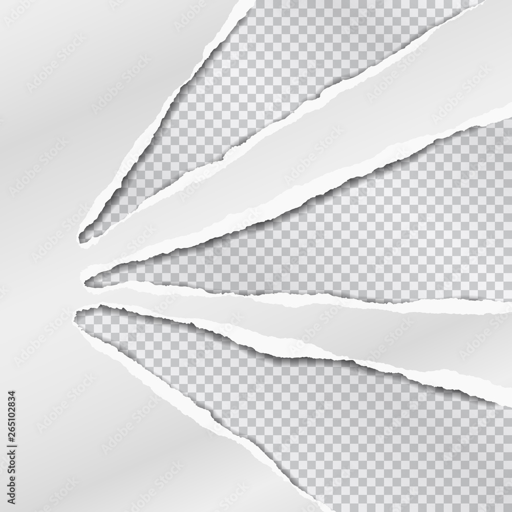 Torn, ripped, white paper strips with soft shadow are on squared ...