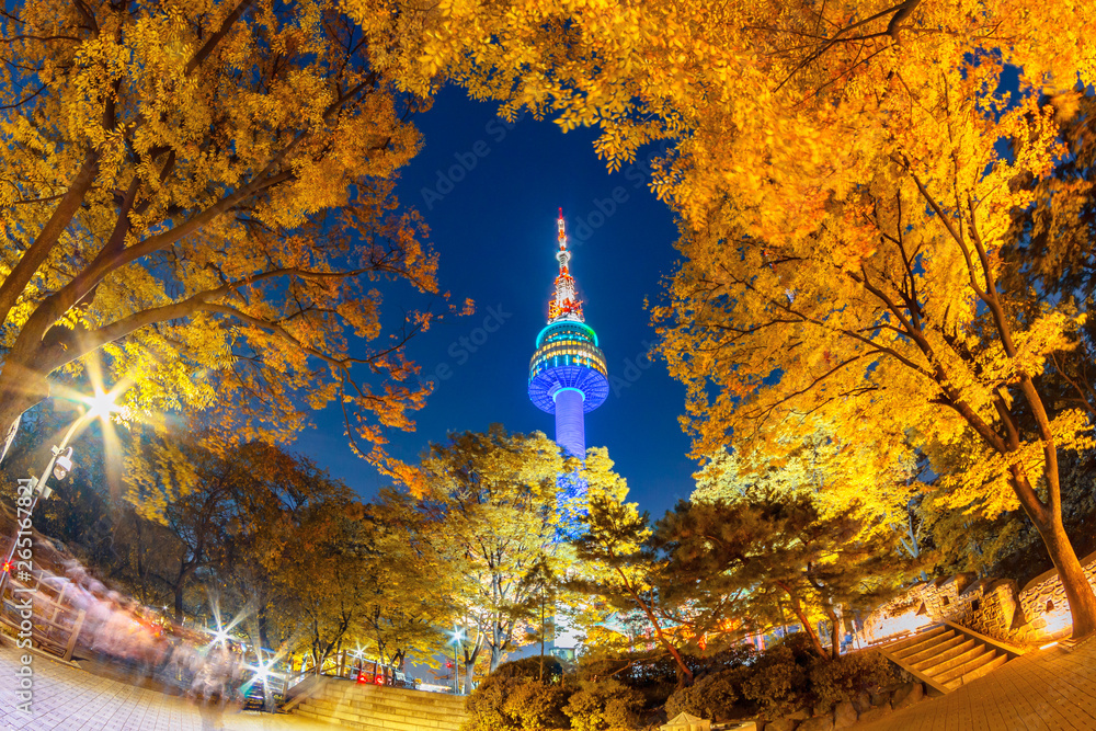 Fall color change in Seoul and N seoul tower in autumn at night, Seoul ...