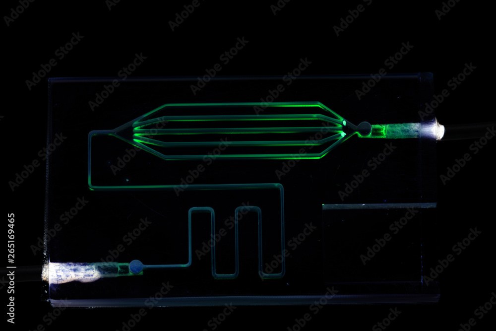 Foto de Organ-on-a-chip (OOC) - microfluidic device chip that simulates ...