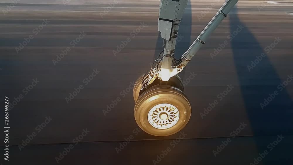 The wheel of the aircraft going to land in slow motion. The wheel ...