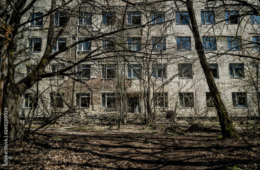 Street of the abandoned ghost town Pripyat. Overgrown trees and ...