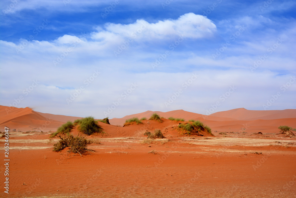 Landscape of Namib-Naukluft National Park is a national park of Namibia ...