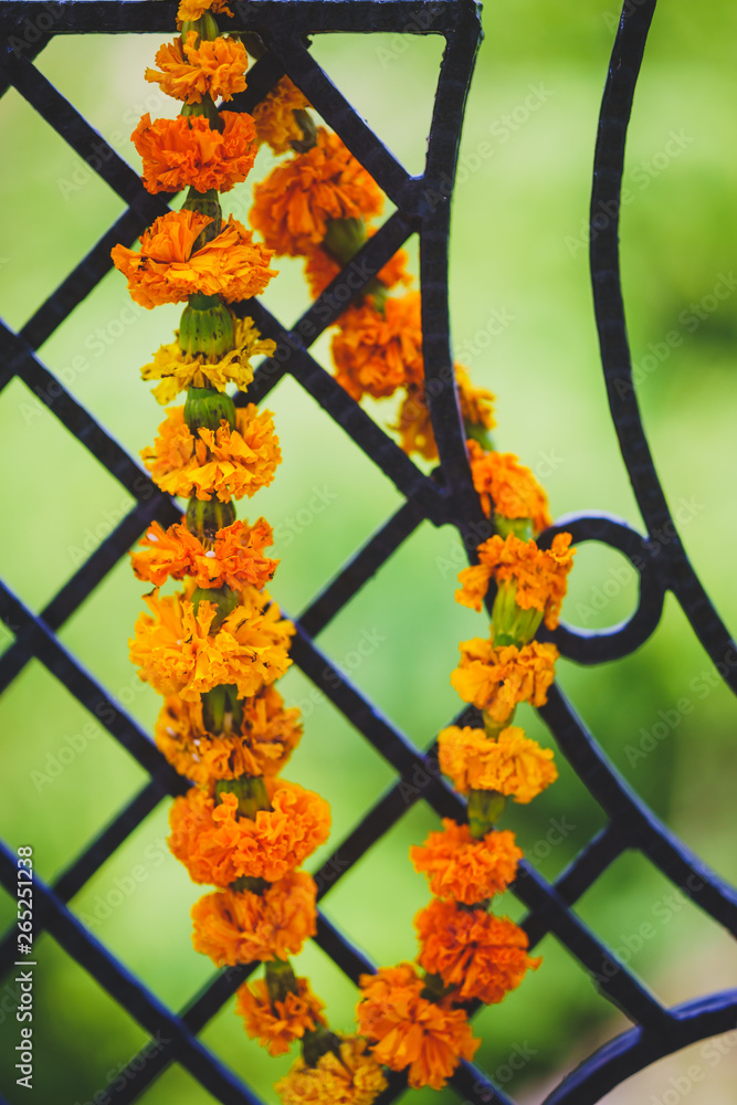 string of flowers on a metal railing. Stock Photo | Adobe Stock