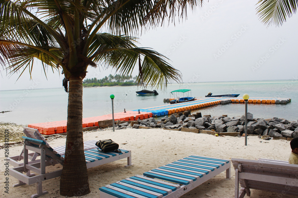Kalpeni Island in Lakshadweep tetrapod on white sand beach with ...