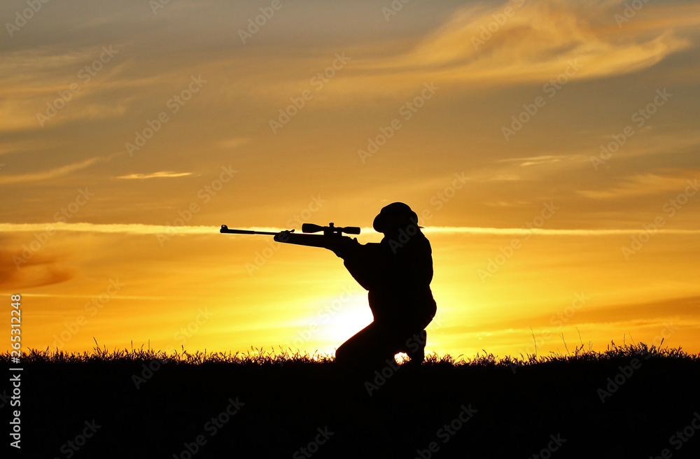 Silhouette of a man with a rifle on the background of a beautiful ...