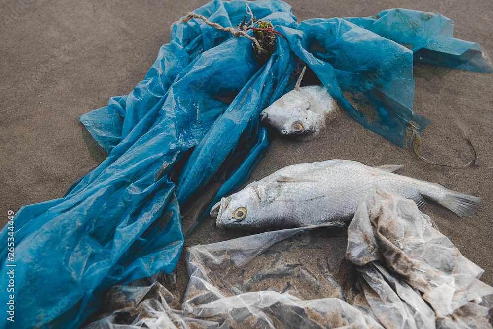 Death fish and plastic pollution environment. Stock Photo | Adobe Stock