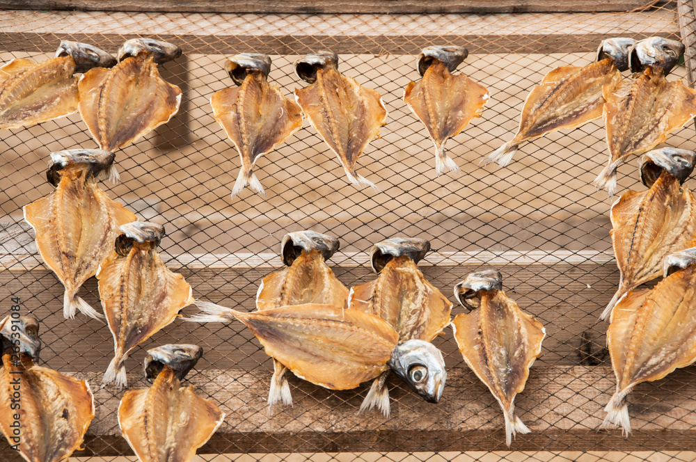 Museum of dry fish, outdoors, on the beach of Nazaré in Portugal, keeps ...