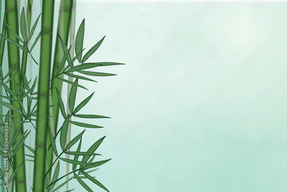 Bamboo tree background Stock Vector | Adobe Stock