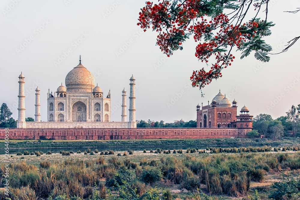 Taj Mahal Back View