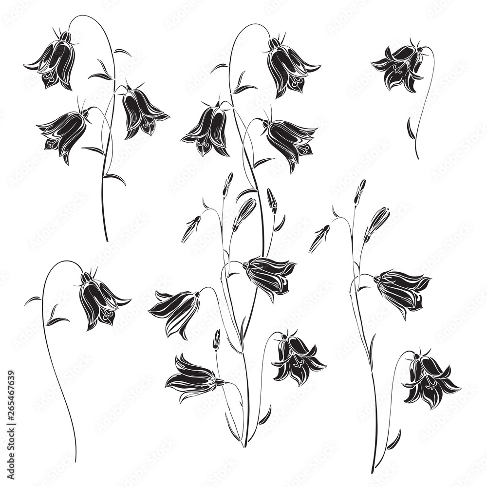 Bluebell flowers. Sketch. Hand drawn outline vector illustration ...