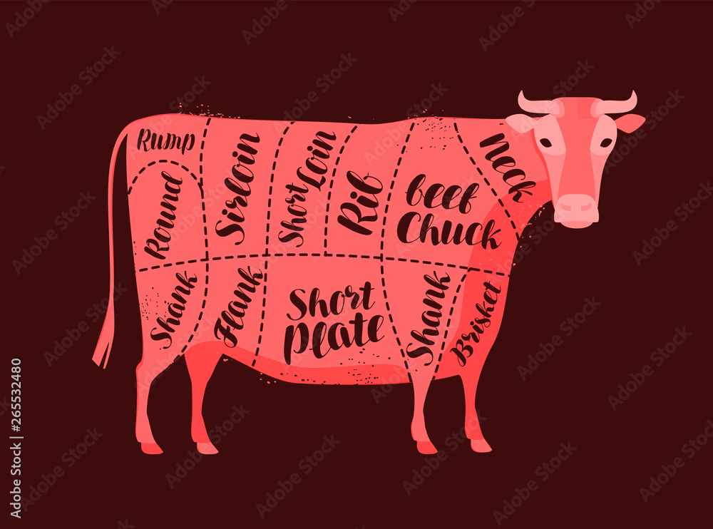 Cow diagram for the butcher. Butcher shop, beef, meat vector ...