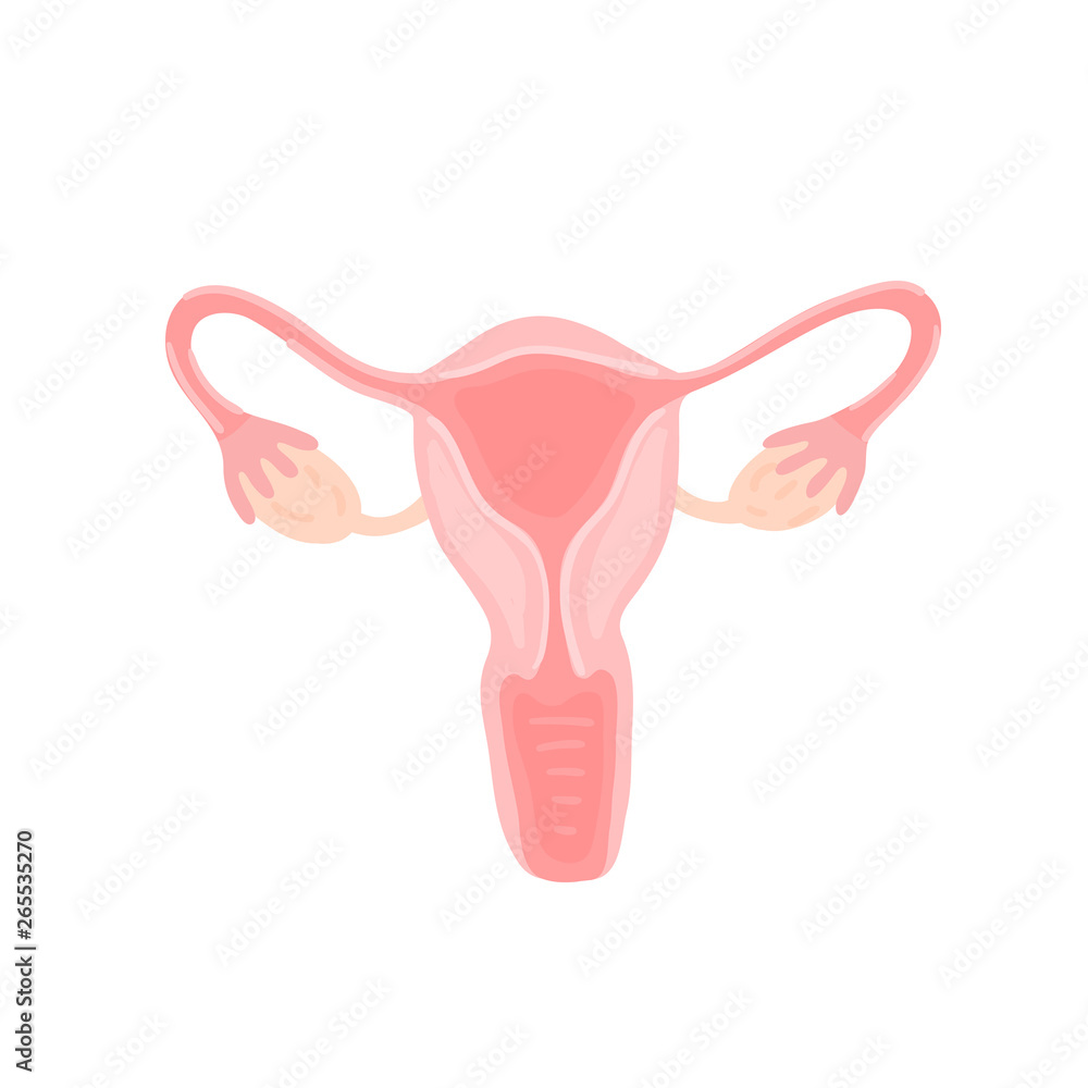 Female Reproductive System Anatomy Gynecology Woman Health Hand female-reproductive-system-anatomy-gynecology-woman-health-hand