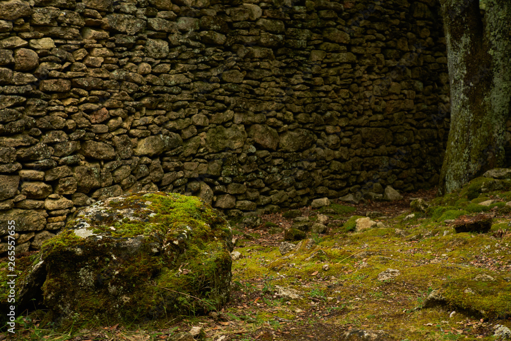 Mur ancien, rocher couvert de mousse et le calme Stock-Foto | Adobe Stock