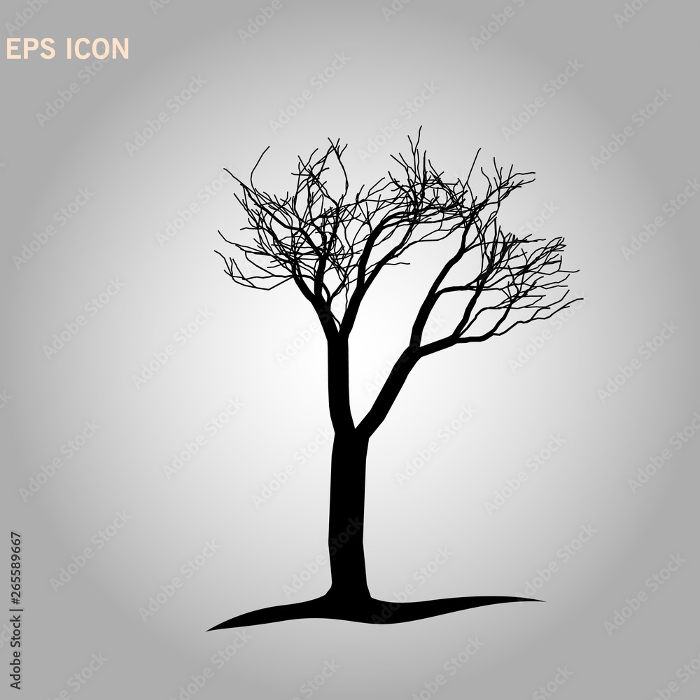 Norway maple architectonics. The structure of the tree branches and ...