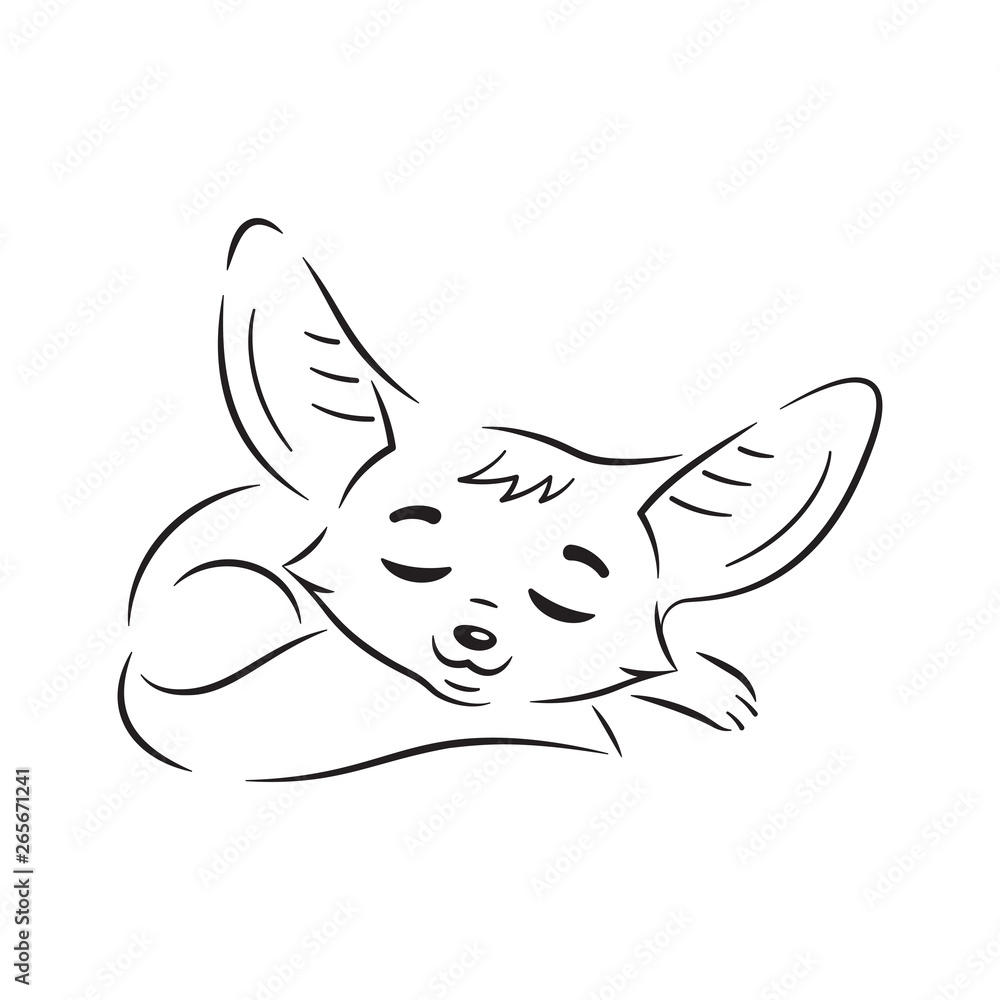 Fennec Fox Drawing Face