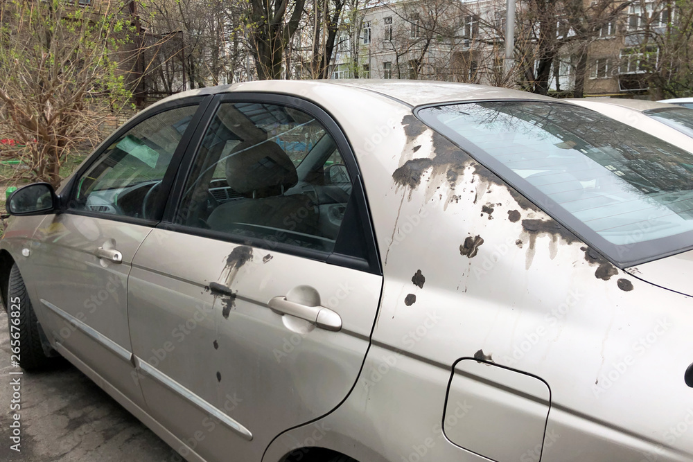 Vandals spoiled the car with a solvent. Black corroded spots on the ...