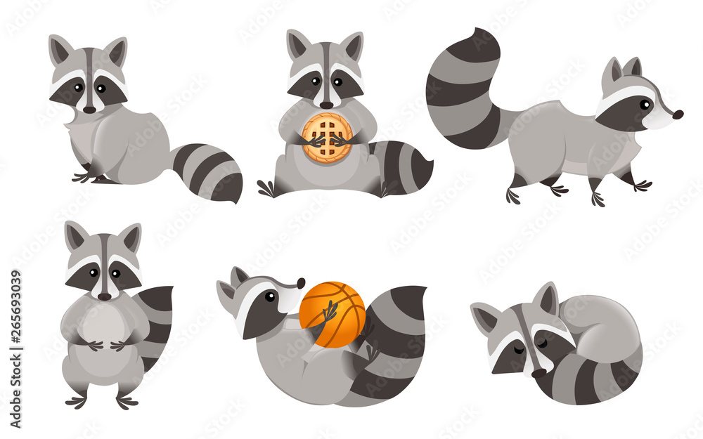 Wasbeer Cartoon Wasbeer PNG Download Gratis En Eersteklas