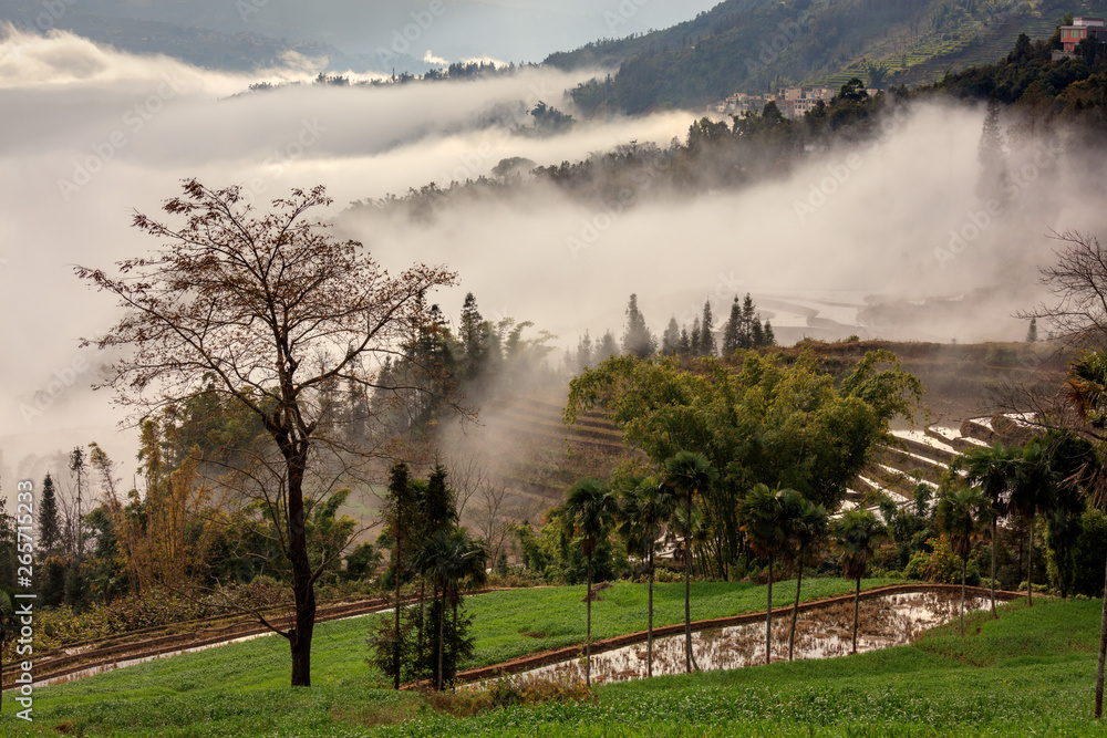 Samaba Rice Terrace Fields in Honghe County - Baohua township, Yunnan ...