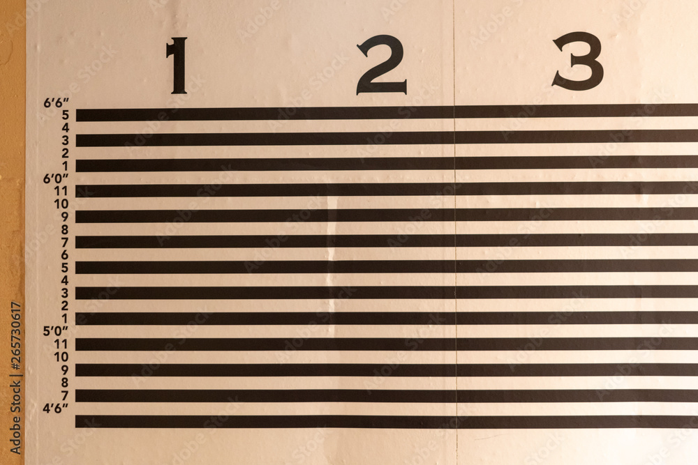 Police Lineup Board