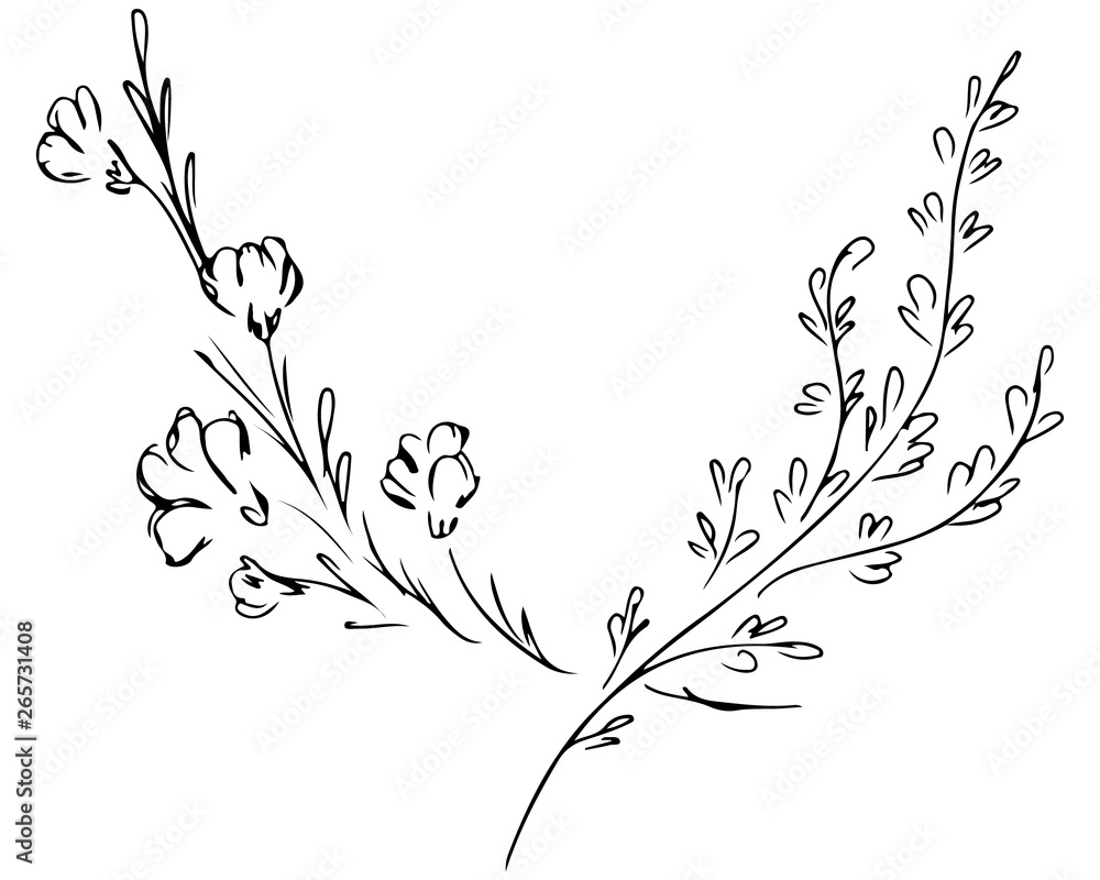 Hand Drawn Illustrations Of Two Branches With Flowers and Leaves ...