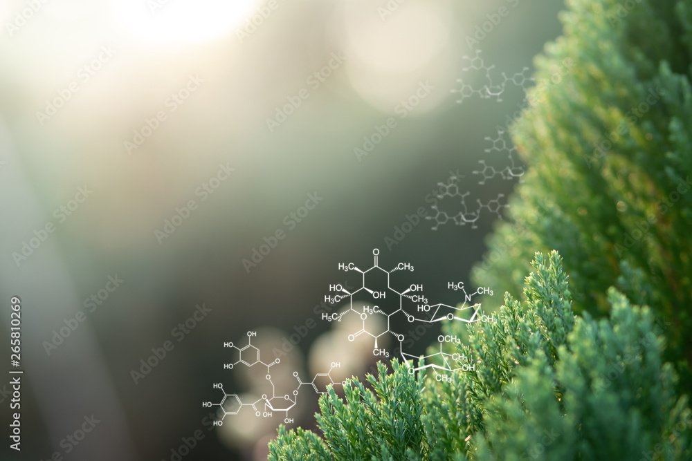 Plants background with biochemistry structure. Stock Photo | Adobe Stock
