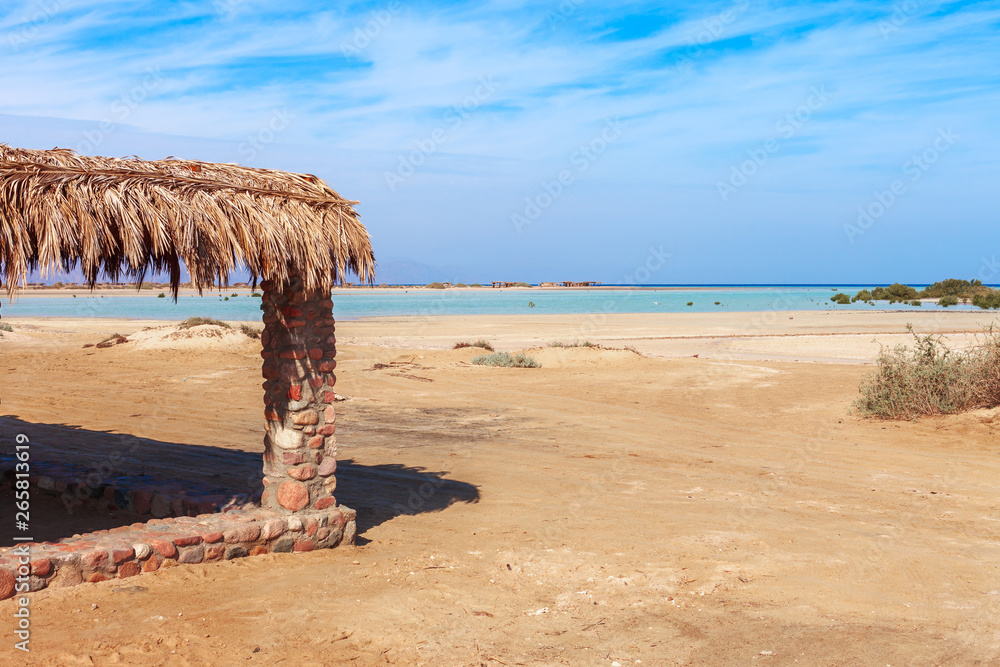 Red Sea coast and mangroves in the Nabq National Park. Snorkeling ...