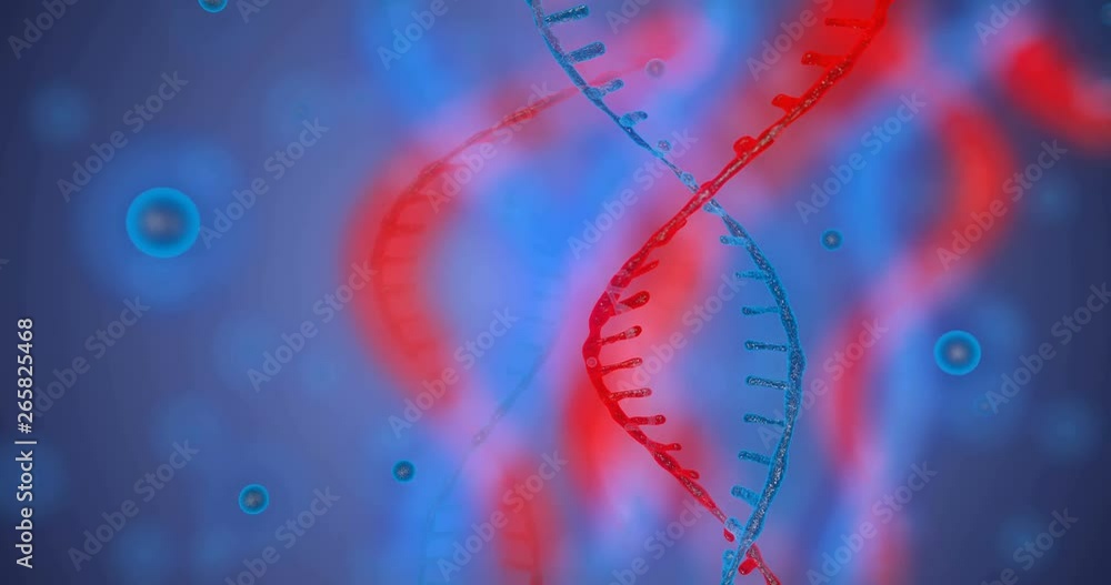 Abstract glittering DNA double helix with depth of field. Animation of ...