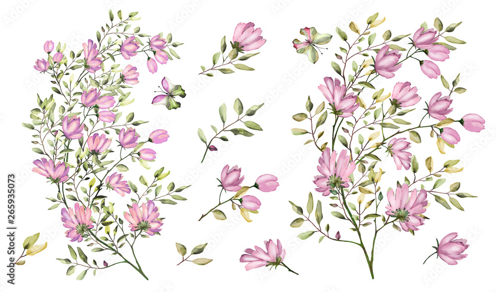 watercolor drawing of twig with leaves and flowers. Botanical ...