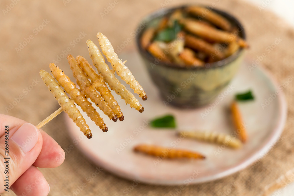Food Insects: Woman's hand holding Bamboo worm Caterpillar insect fried ...