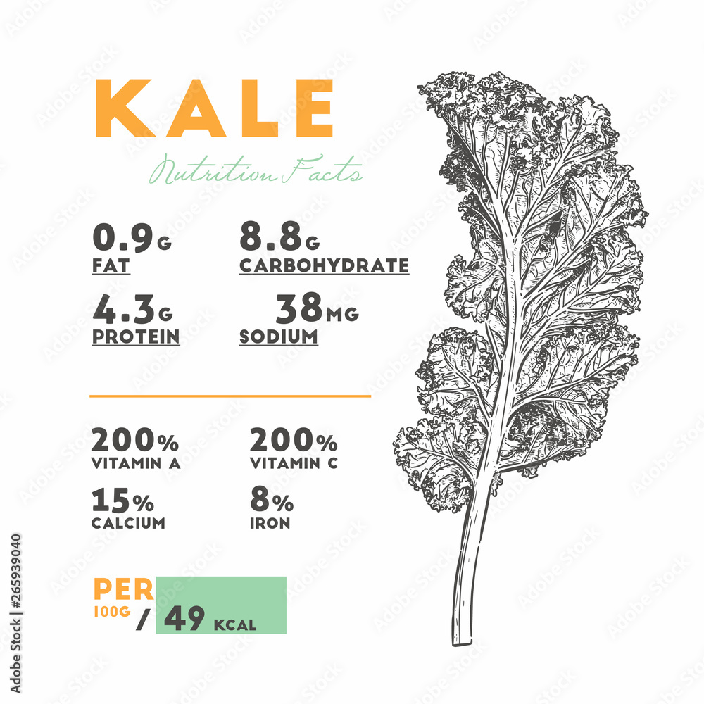 Nutrition facts of Kale, Hand draw sketch vector. Stock Vector | Adobe ...