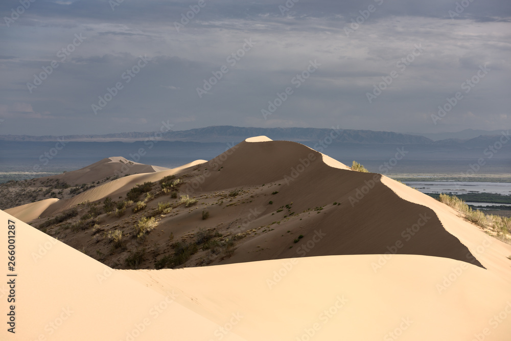 Barchan Dunes