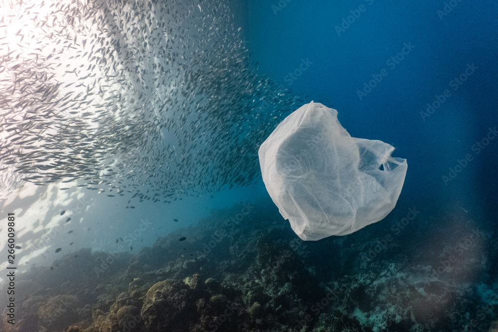 Single-use plastic and school of fish in a shallow reef. Plastic is a ...