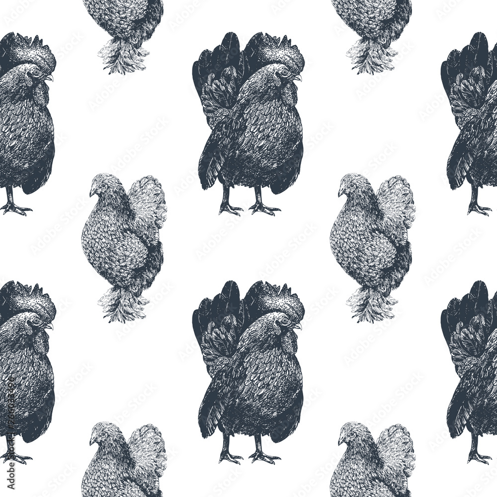 Seamless pattern of hand drawn sketch style chicken with rooster ...